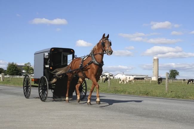Lancaster County’s Role With The Amish and Amish Heritage | The Amish ...