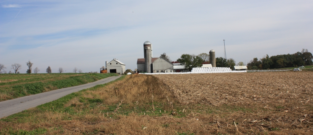 Life on the Amish Family Farm | The Amish Village