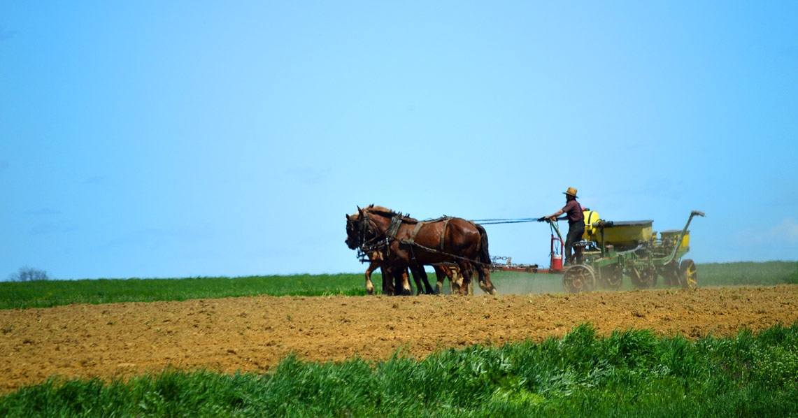 Amish Fall Harvest in Lancaster County: A Visitor’s Guide | The Amish ...